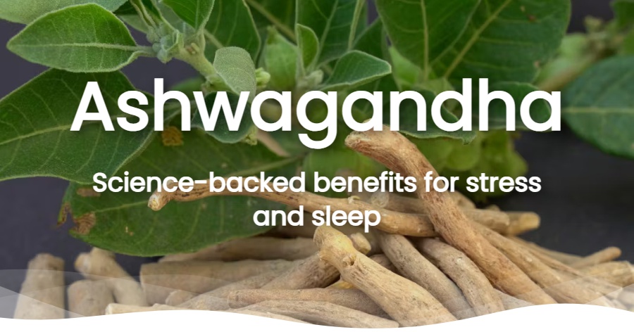 Ashwagandha Benefits UK: Evidence-Based Guide 2026 | Vitmax